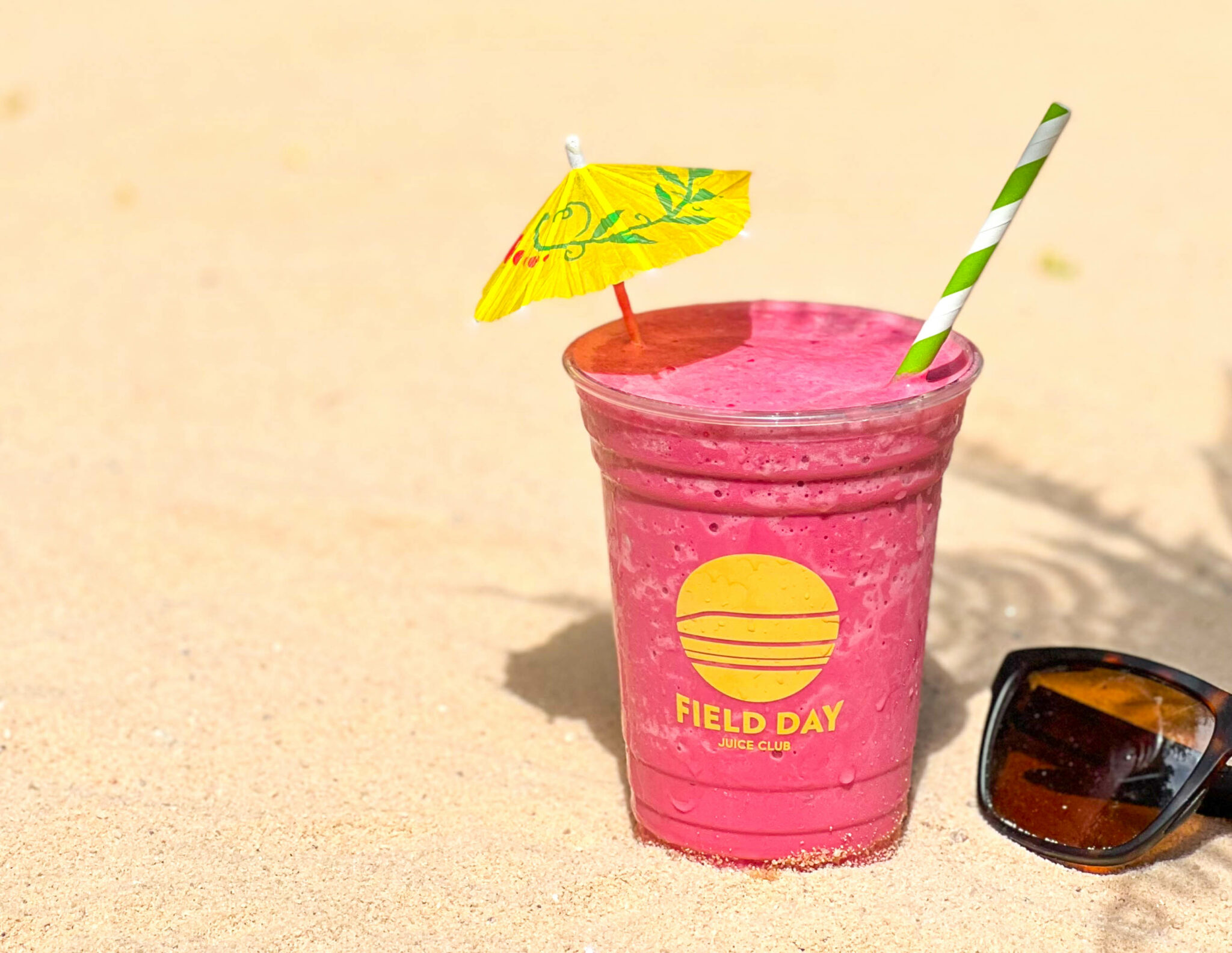 Fruitless Smoothie - Edible Blue Ridge